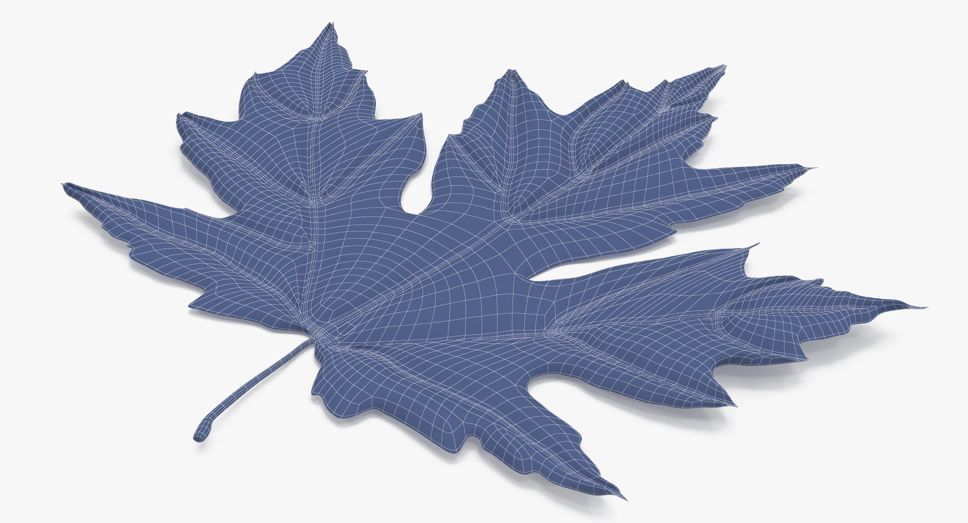 max orange maple leaf