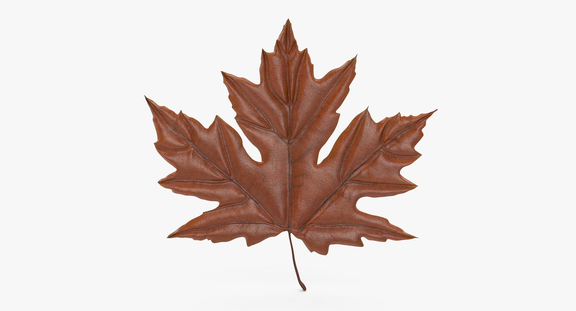 max orange maple leaf