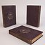 Old Books Mega 330 3d Model
