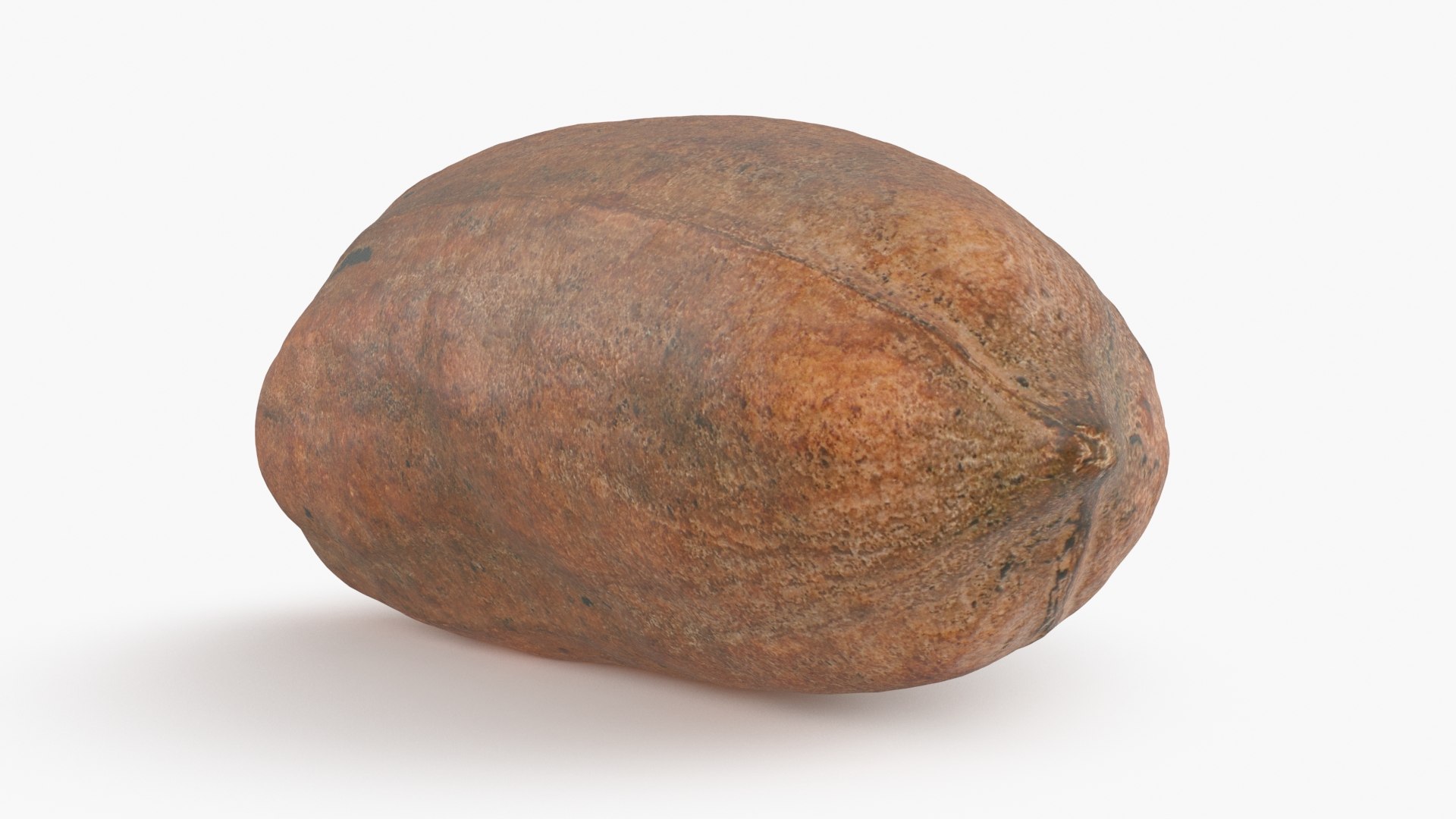 Pecan Shell 01 3D model - TurboSquid 1976606