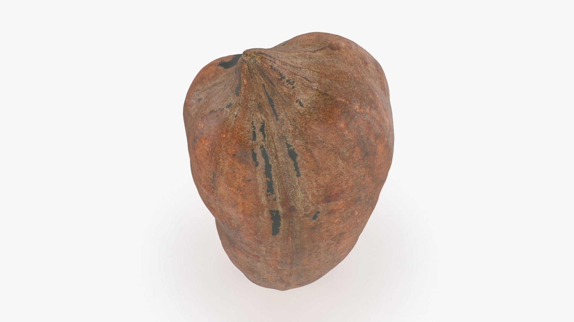 Pecan Shell 01 3D model - TurboSquid 1976606