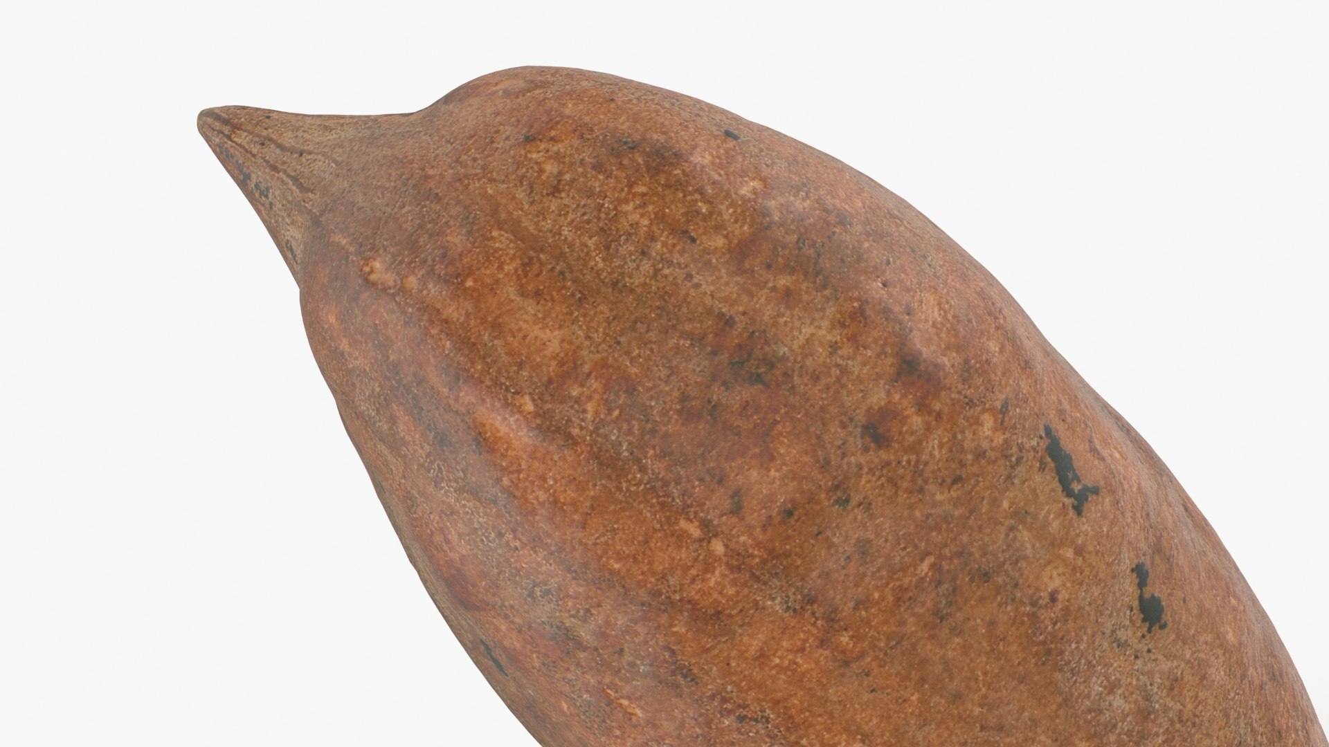 Pecan Shell 01 3D model - TurboSquid 1976606