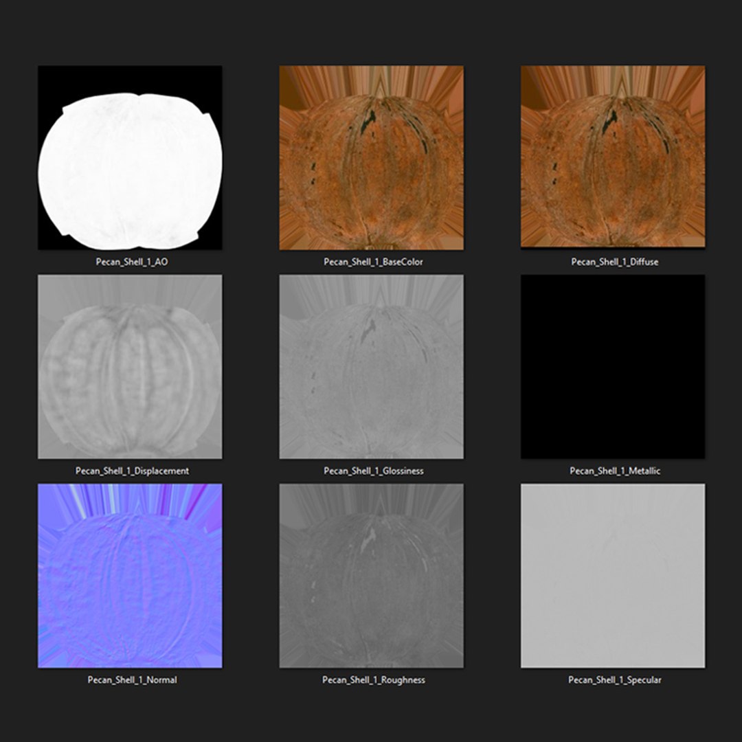 Pecan Shell 01 3D model - TurboSquid 1976606