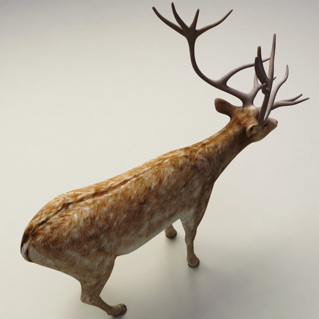 Deer V2 3d Model