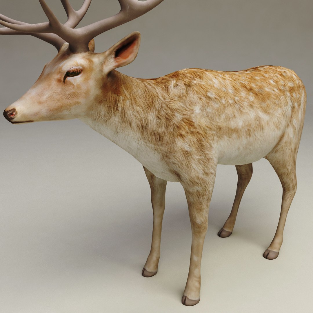 Deer V2 3d Model