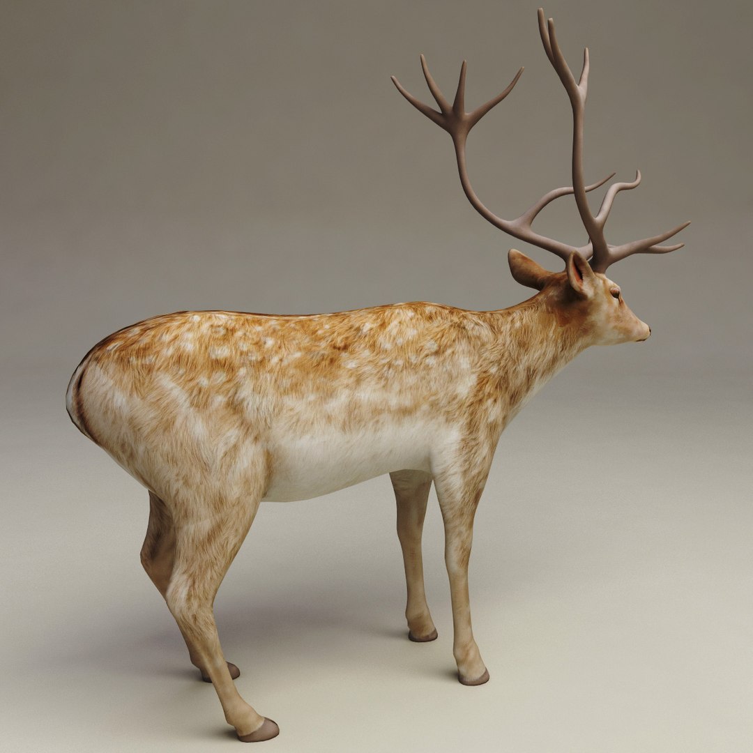 Deer V2 3d Model