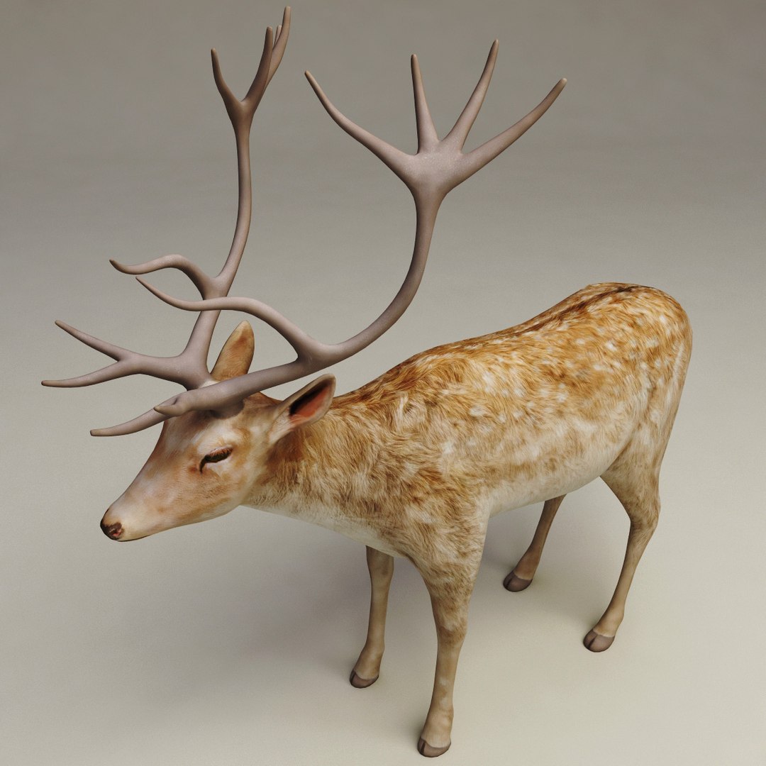Deer V2 3d Model