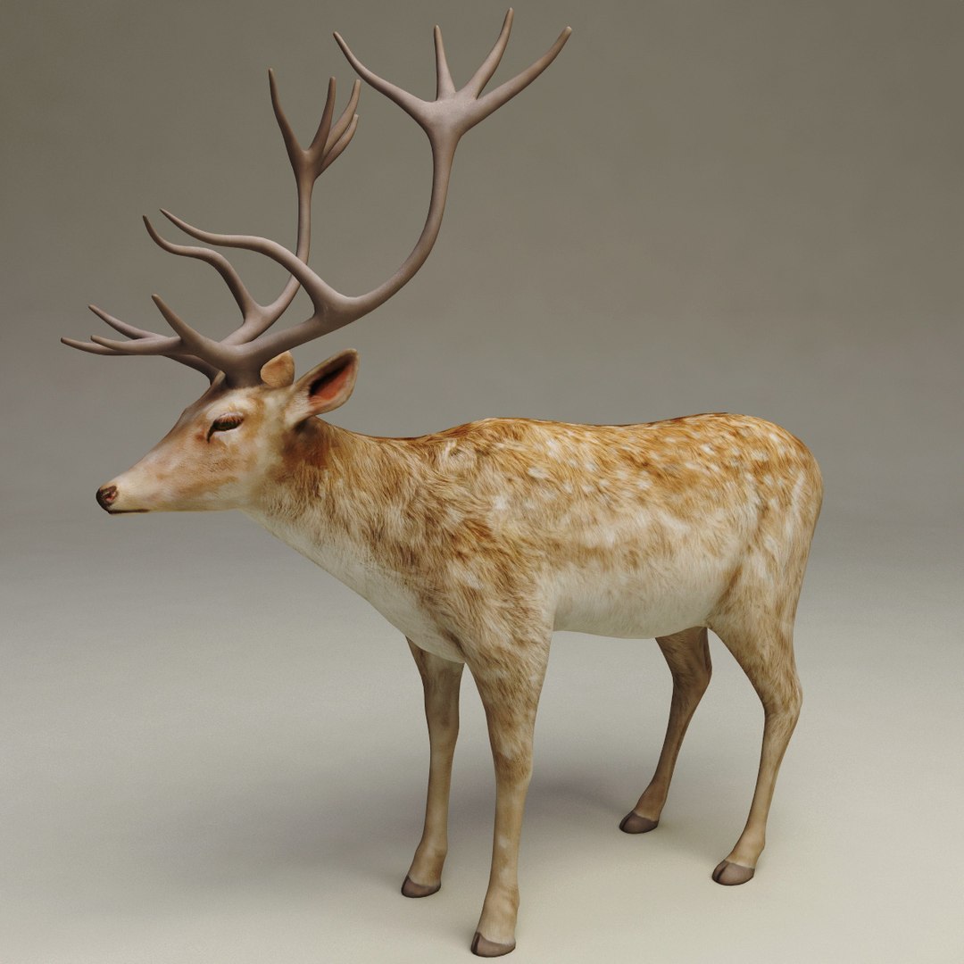 Deer V2 3d Model