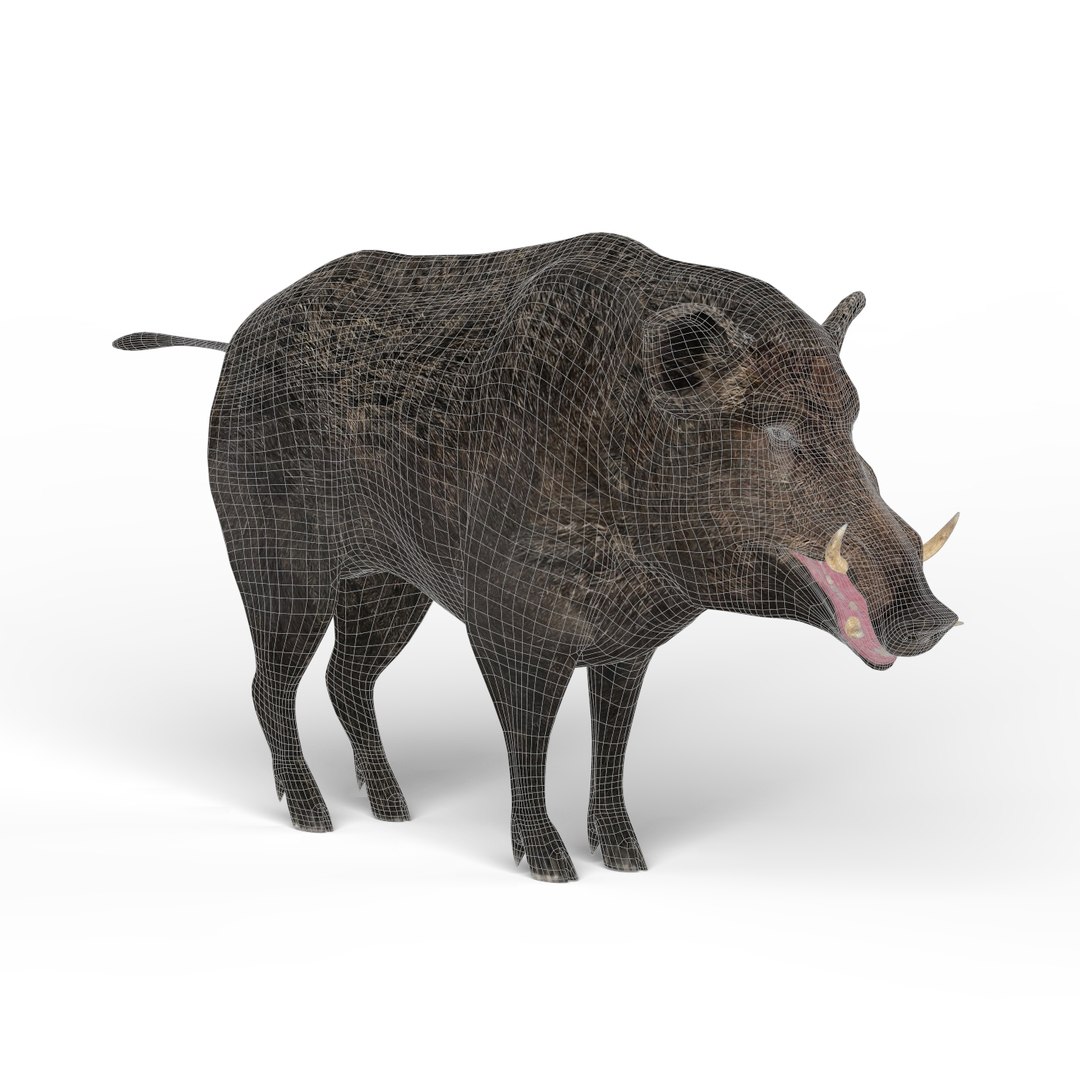 3D Boar Materials Pbr - TurboSquid 1508544