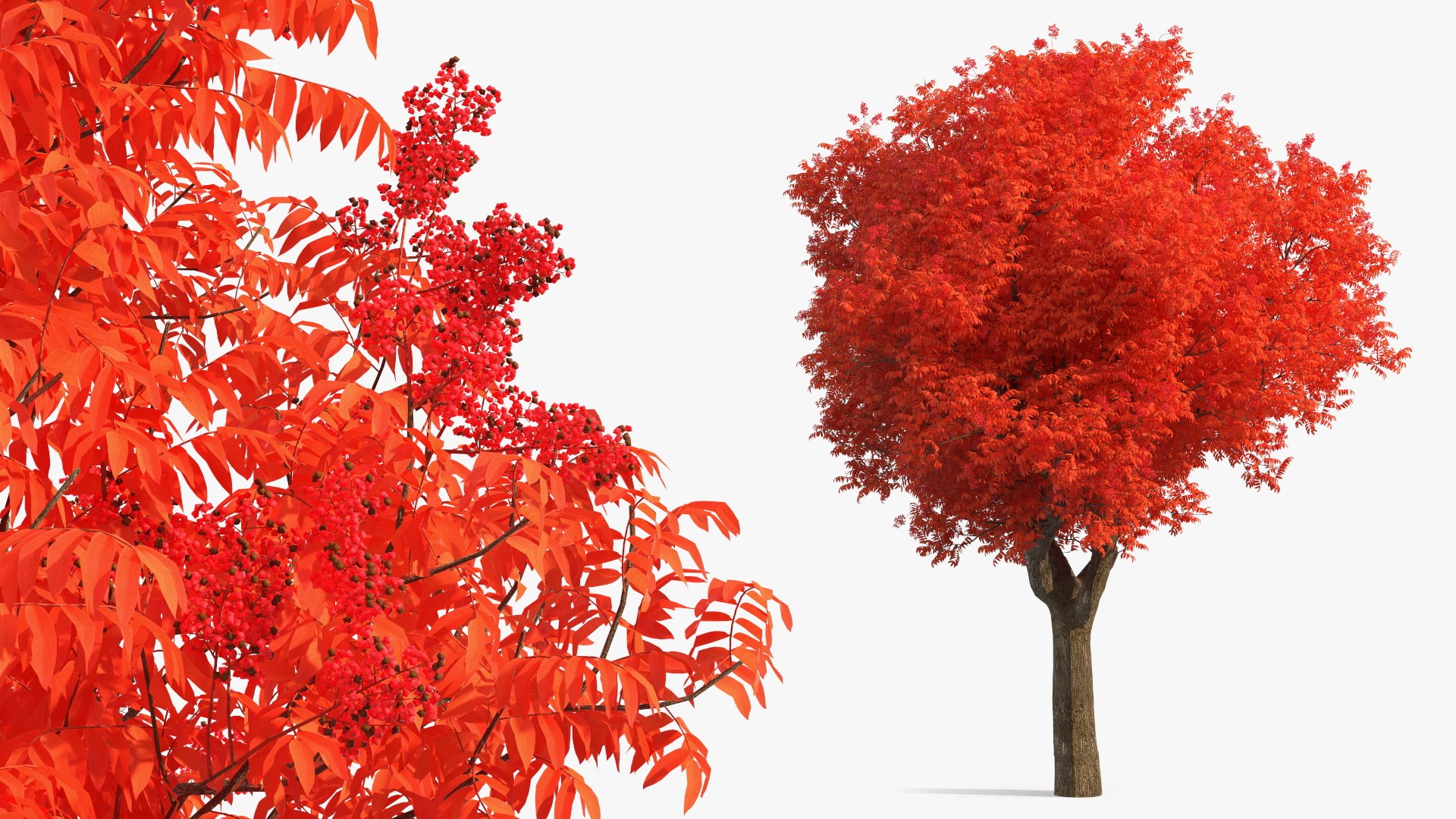 Red Push Pistache 3D - TurboSquid 1801925