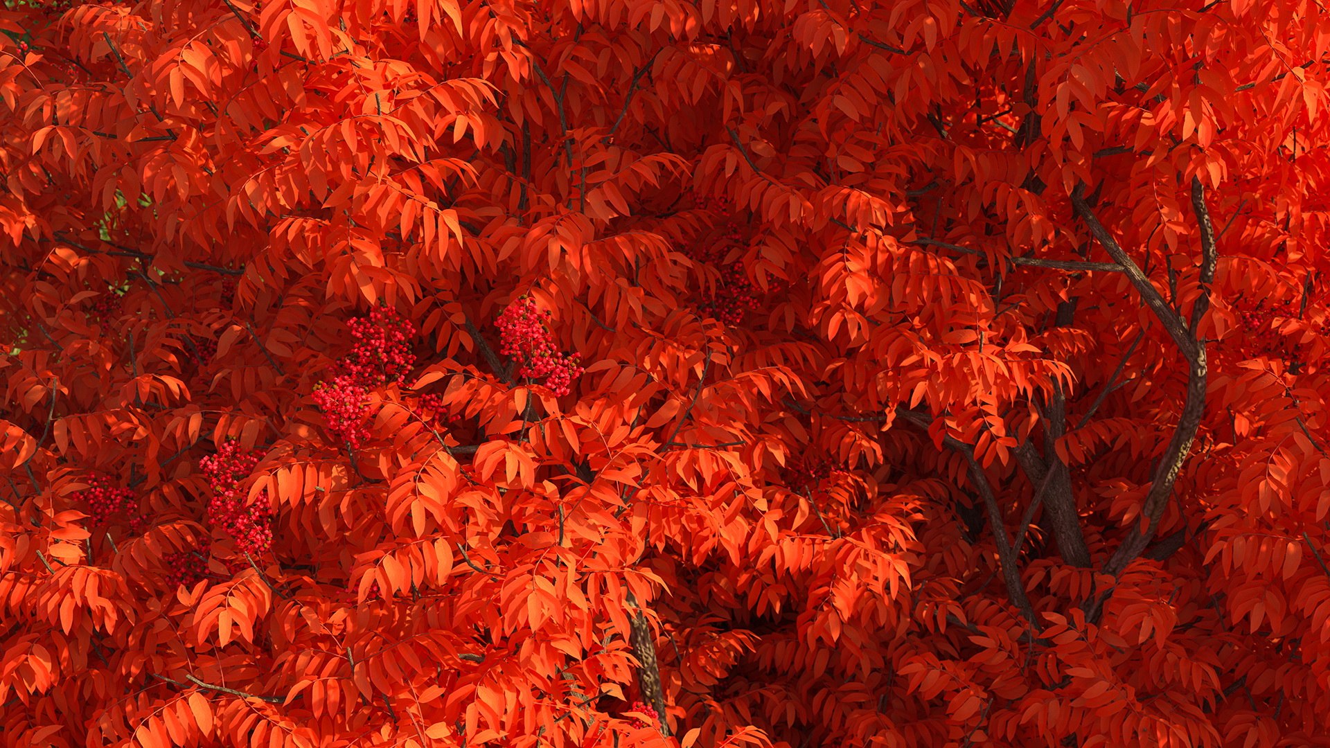 Red Push Pistache 3D - TurboSquid 1801925