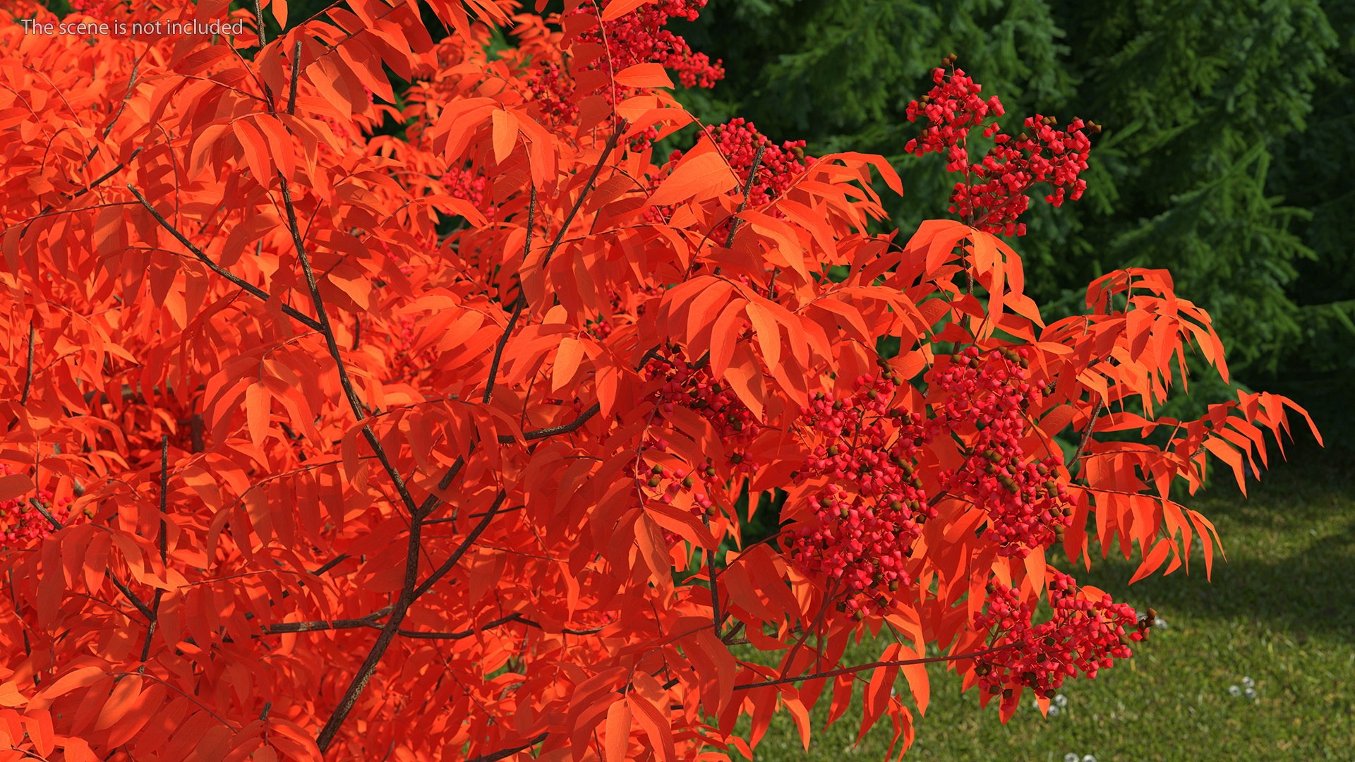 Red Push Pistache 3D - TurboSquid 1801925