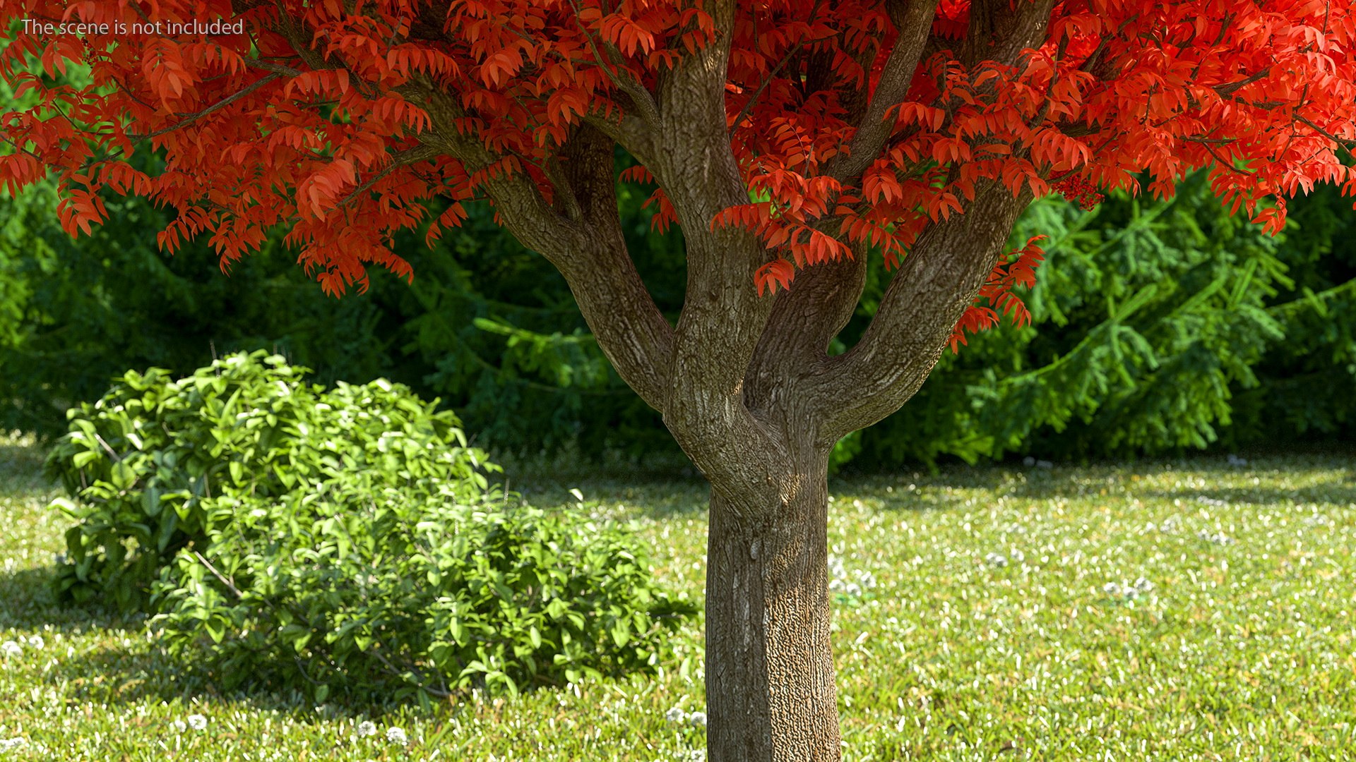 Red Push Pistache 3D - TurboSquid 1801925