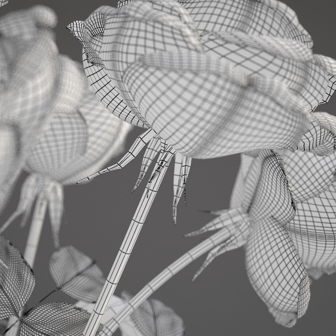 bouquet roses 3d max
