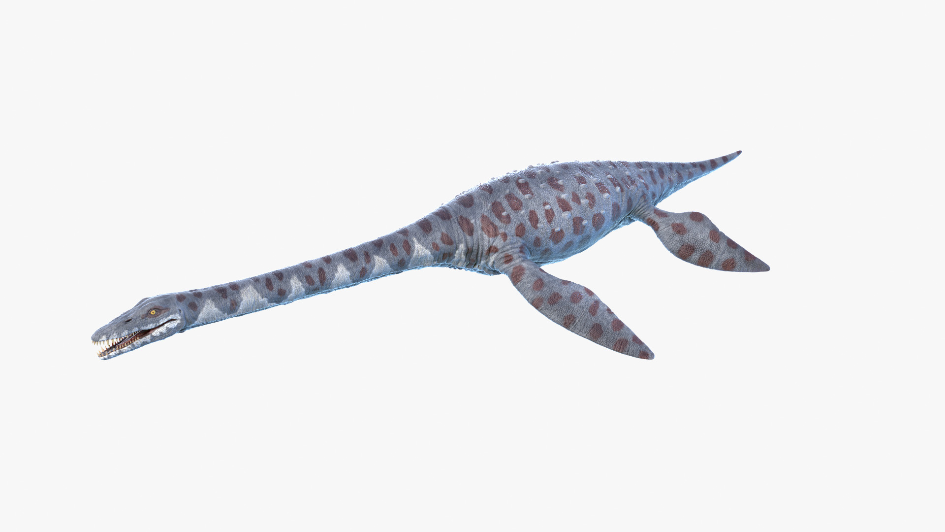 3D Attenborosaurus Animated model - TurboSquid 1937625
