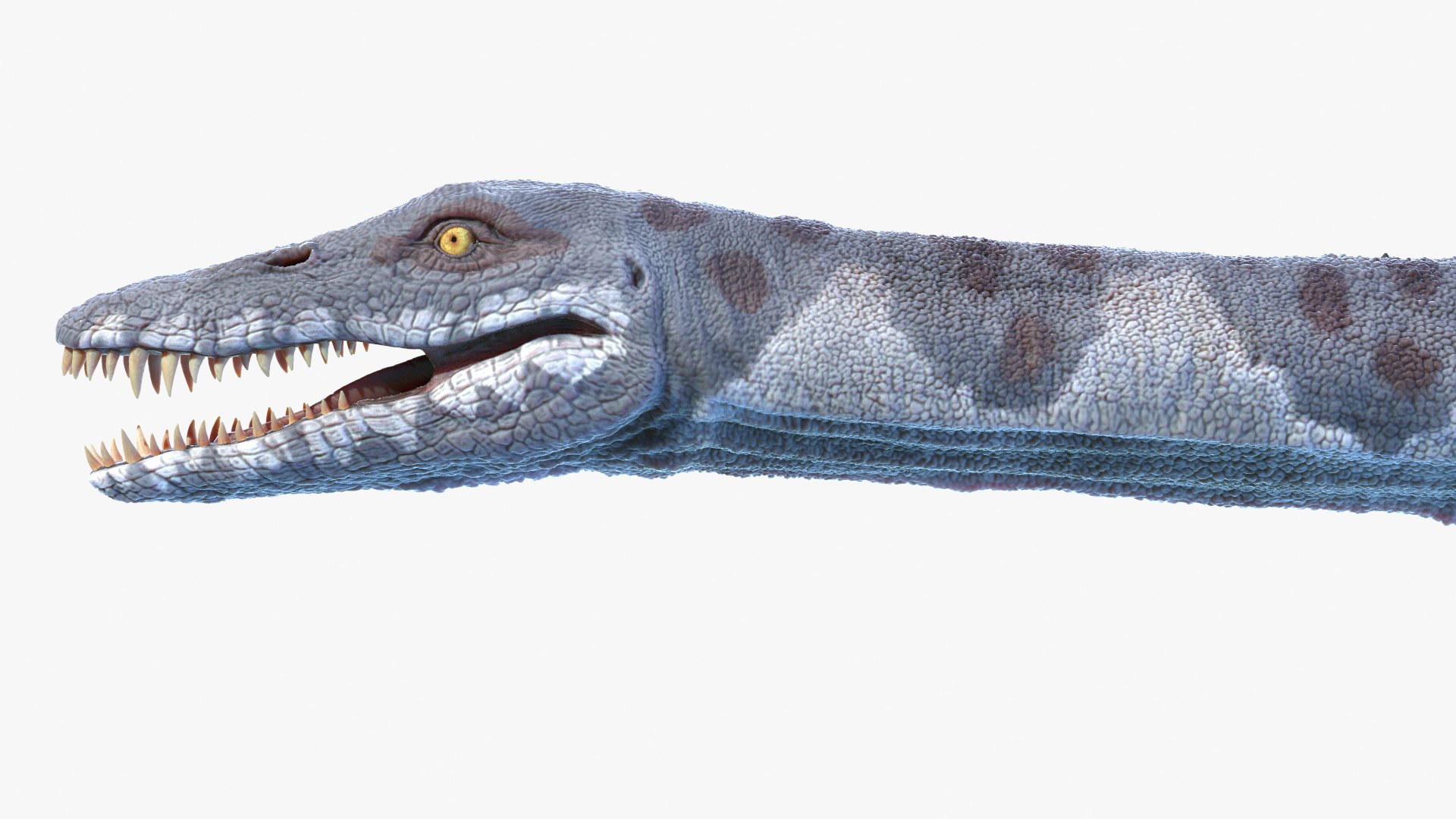 3D Attenborosaurus Animated model - TurboSquid 1937625