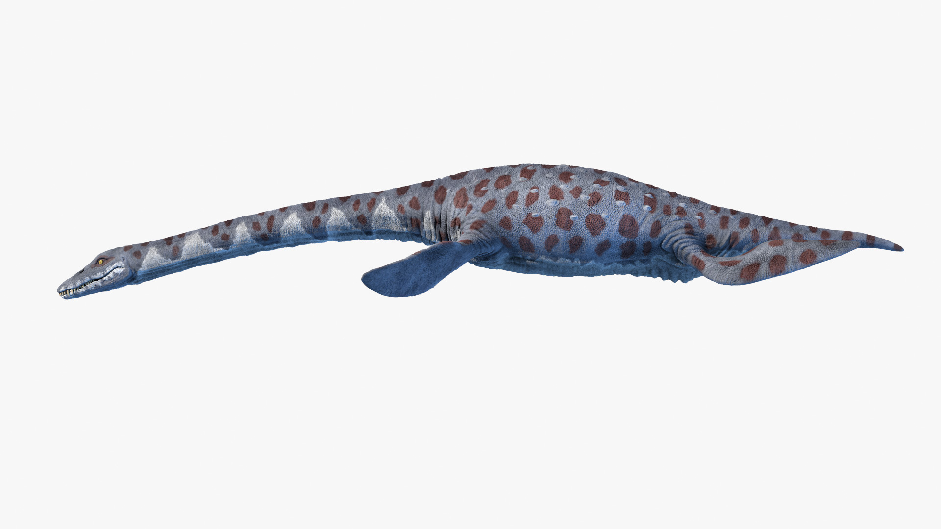 Attenborosaurus Animated Modelo 3D - TurboSquid 1937625