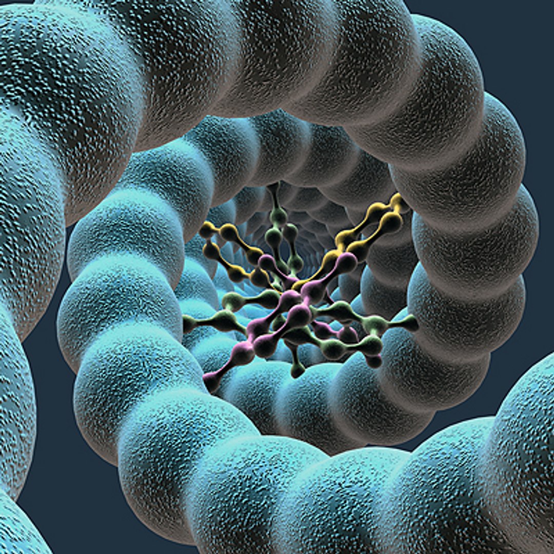 Dna Double Helix 3d Model