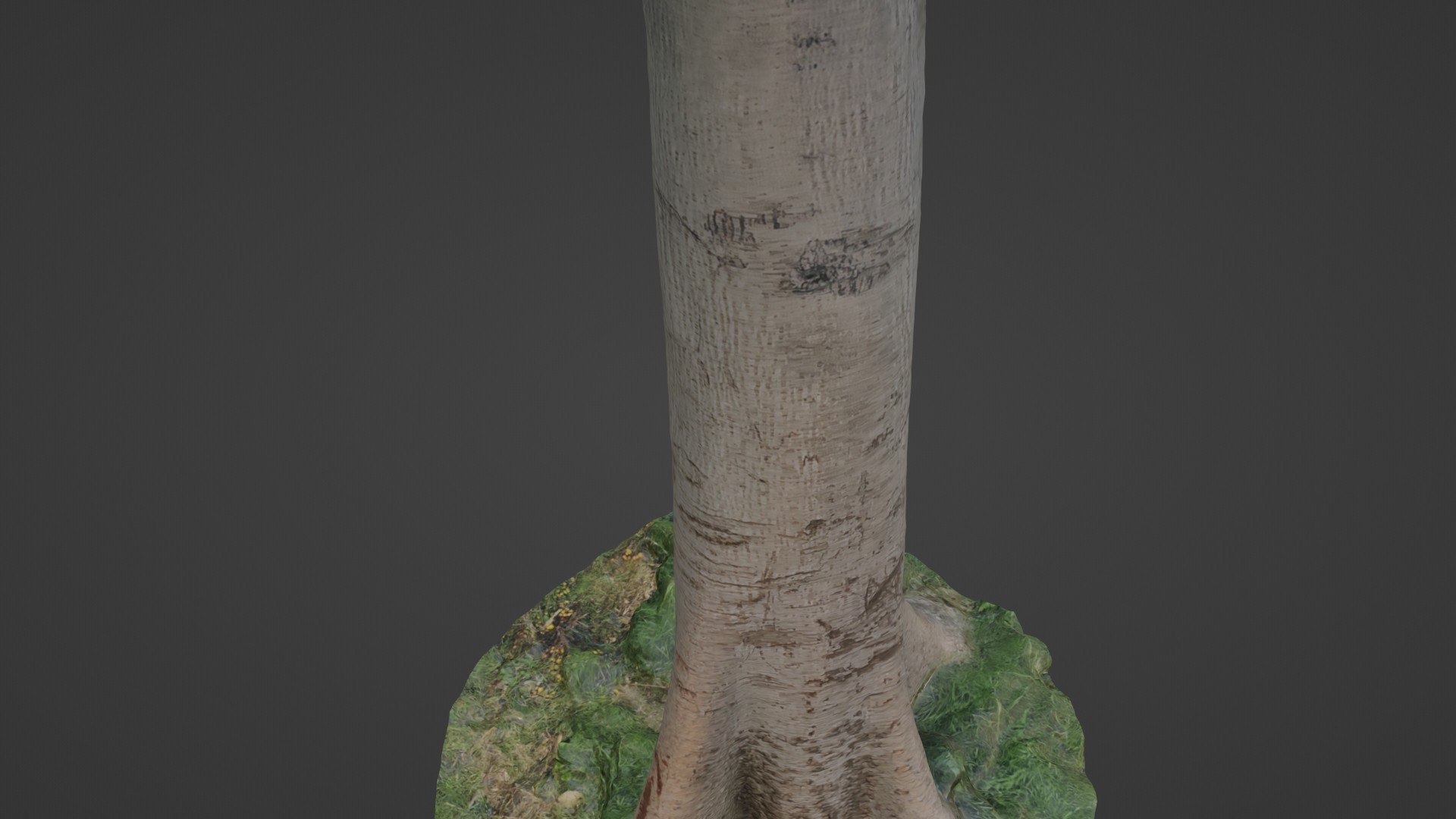 3D Tree Tall Model - TurboSquid 2329368