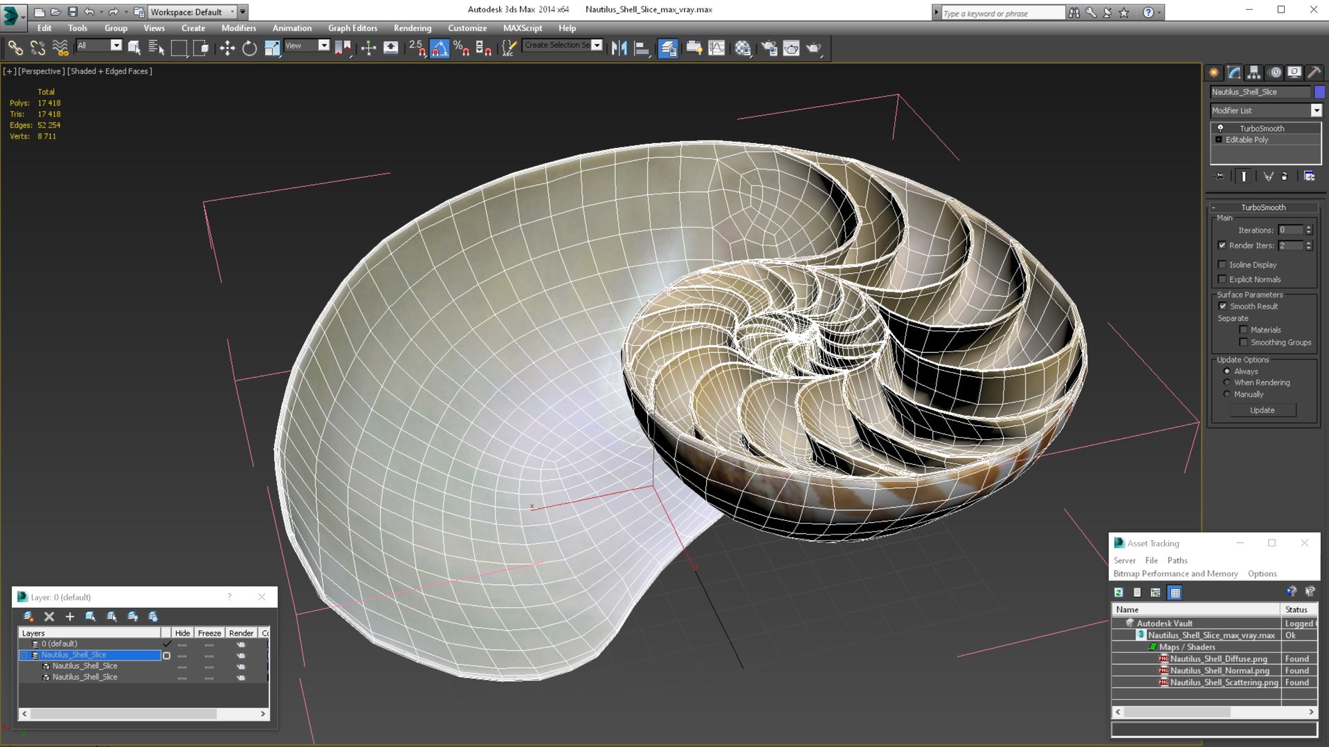Nautilus Shell Slice model - TurboSquid 1872915