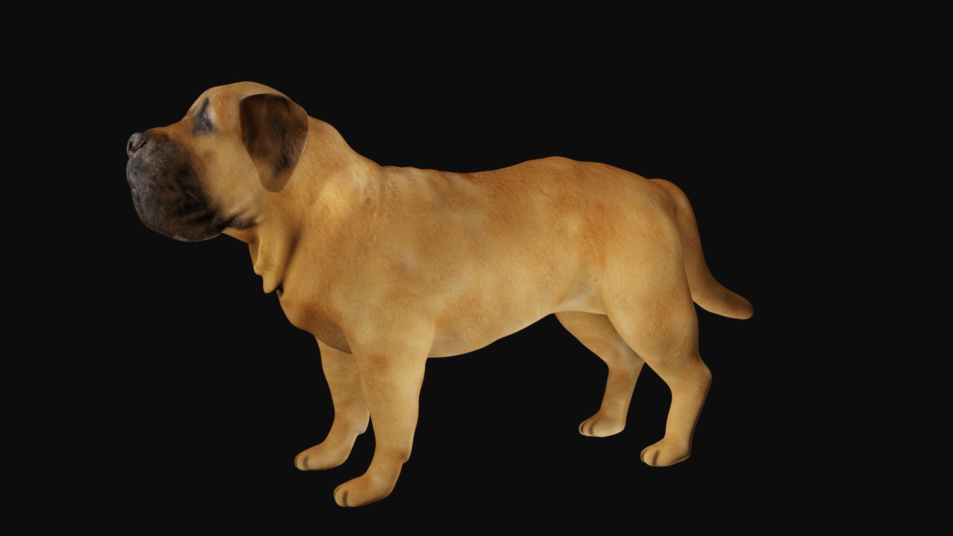 Fully Rigged Low Poly Mastiff Dog Model - TurboSquid 1751794