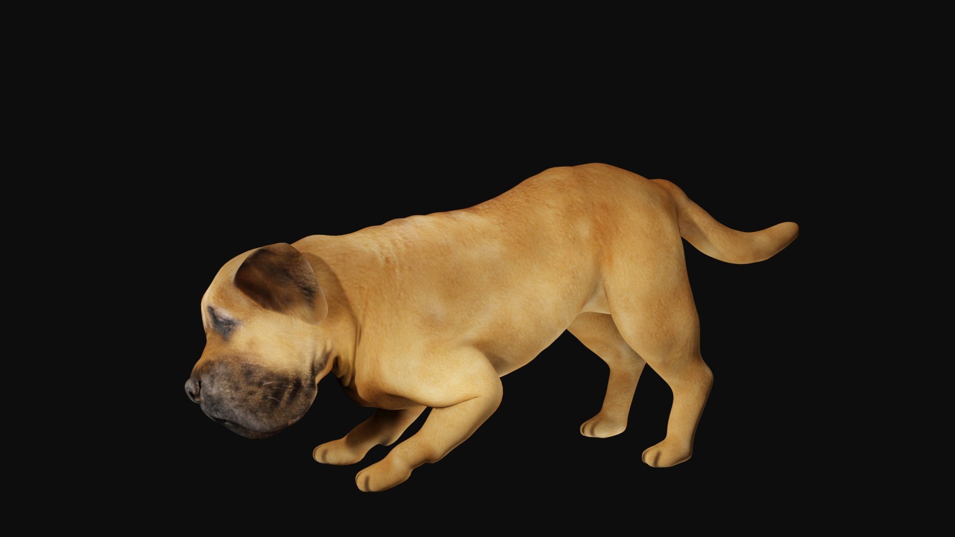 Fully Rigged Low Poly Mastiff Dog Model - TurboSquid 1751794