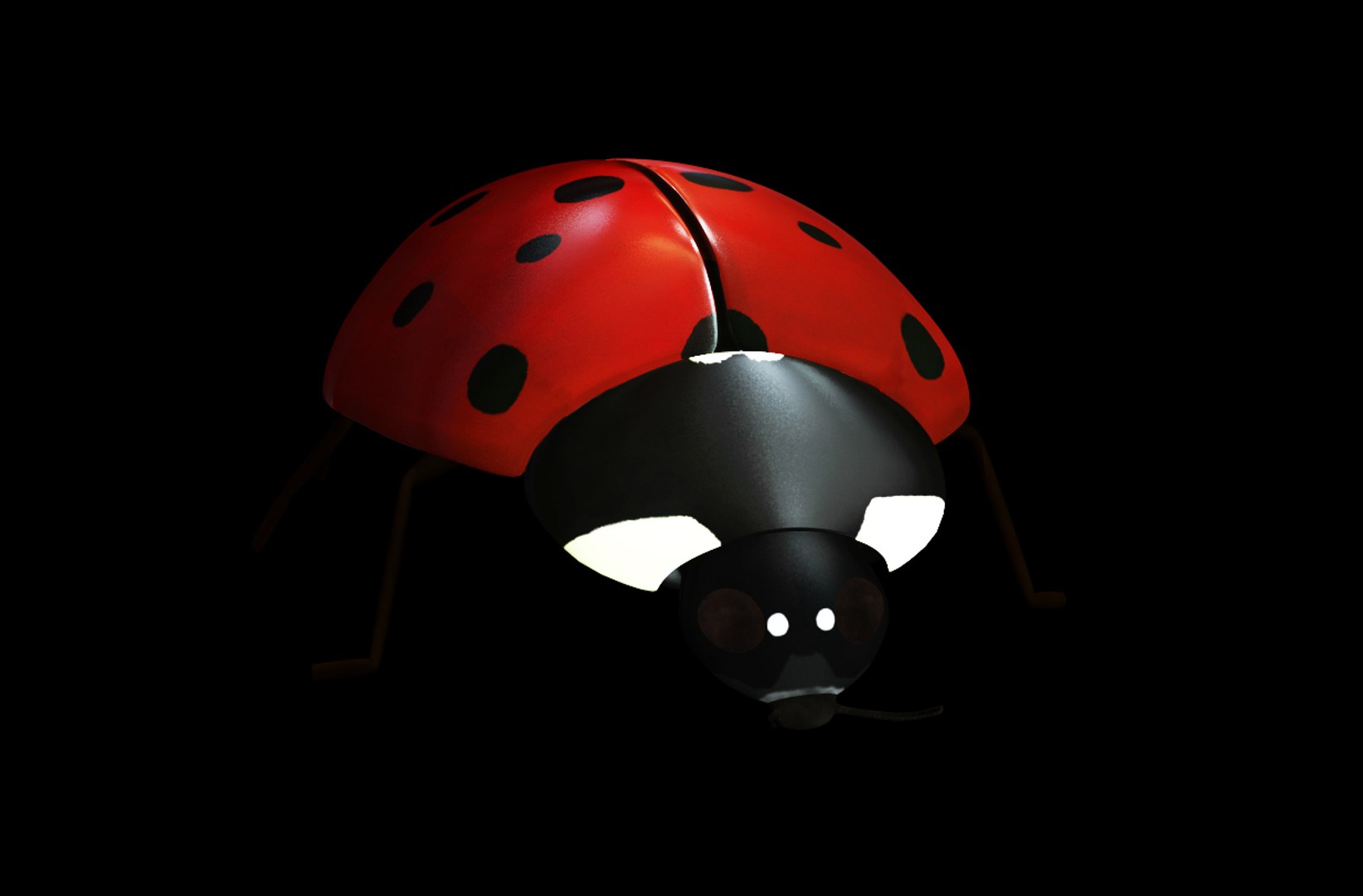 3D Ladybug Bug Model - TurboSquid 1481899