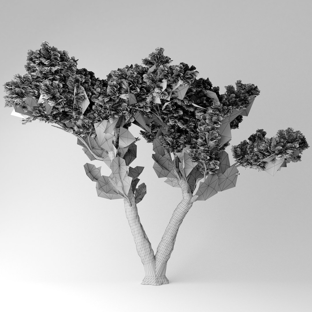 Monterey Cypress Tree 3D - TurboSquid 1521969