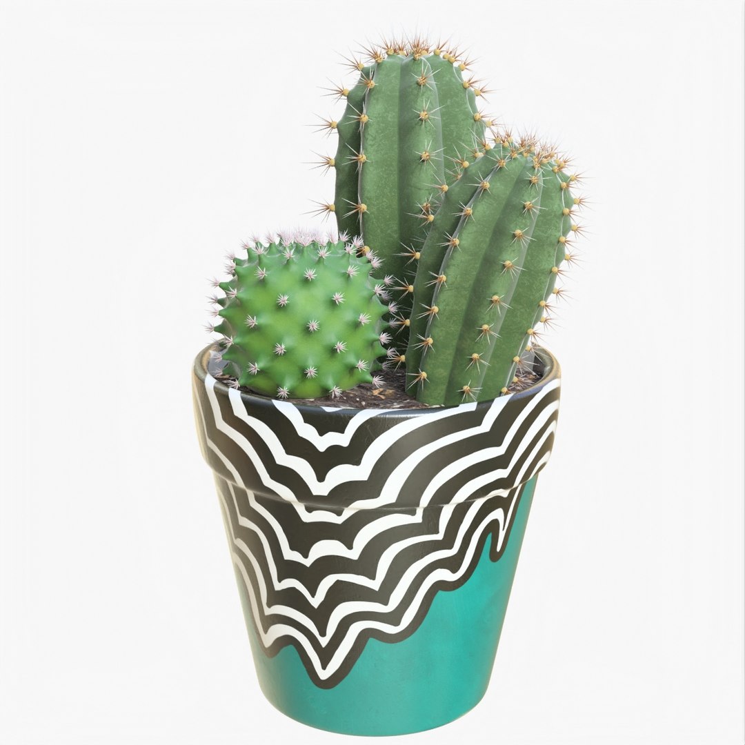 3D model Cactus 02 e - TurboSquid 1987416