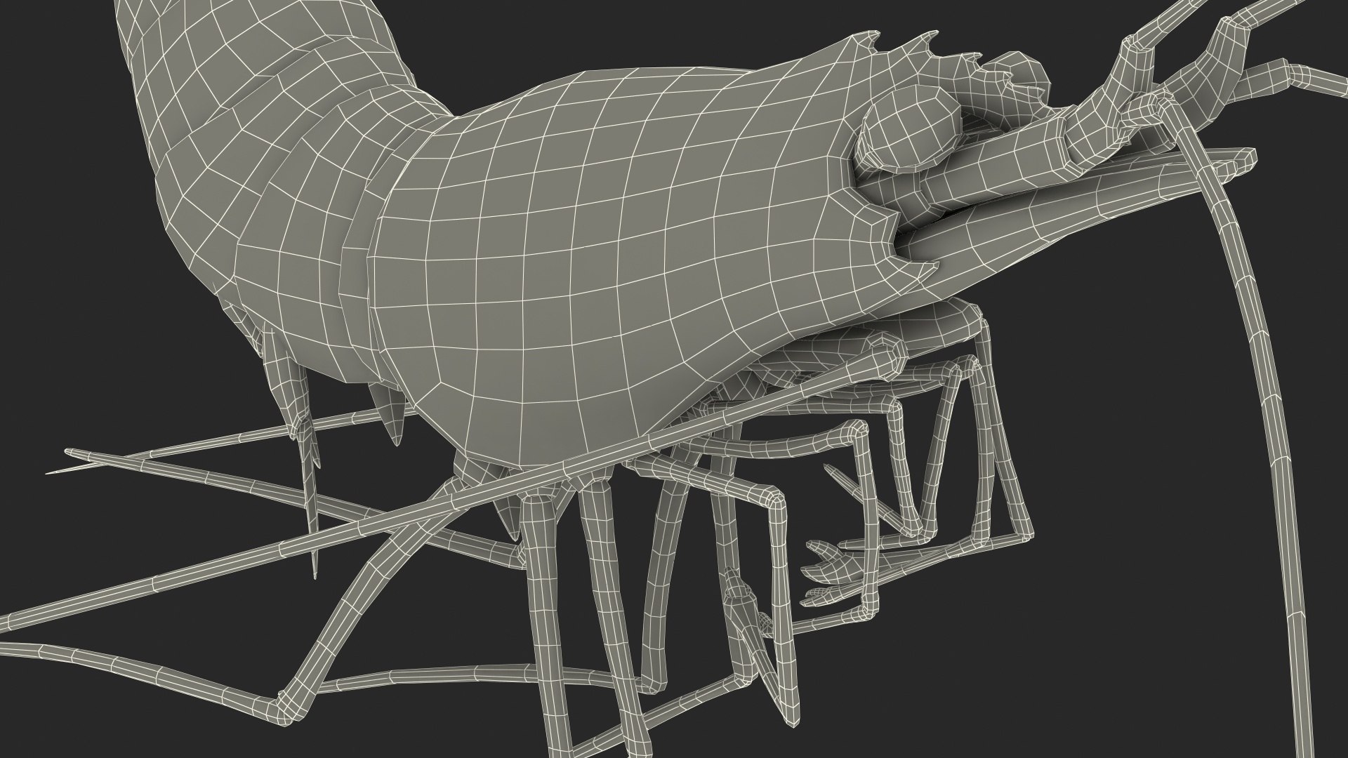 3D model Fire Shrimp Fur - TurboSquid 2049505