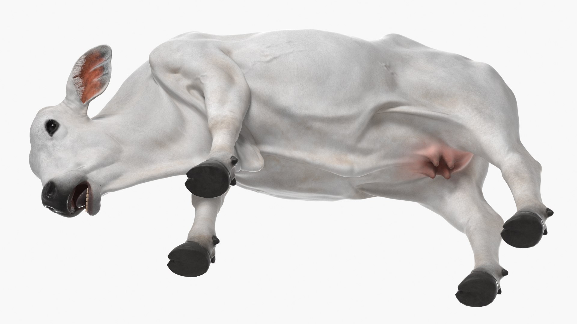 Nelore Cow Female Eating Fur 3D Model - TurboSquid 2317693
