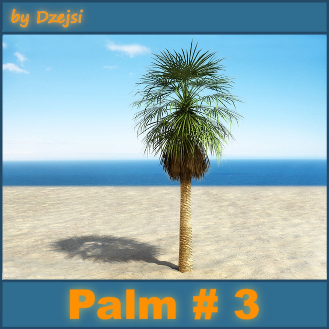 Palm Tree Max