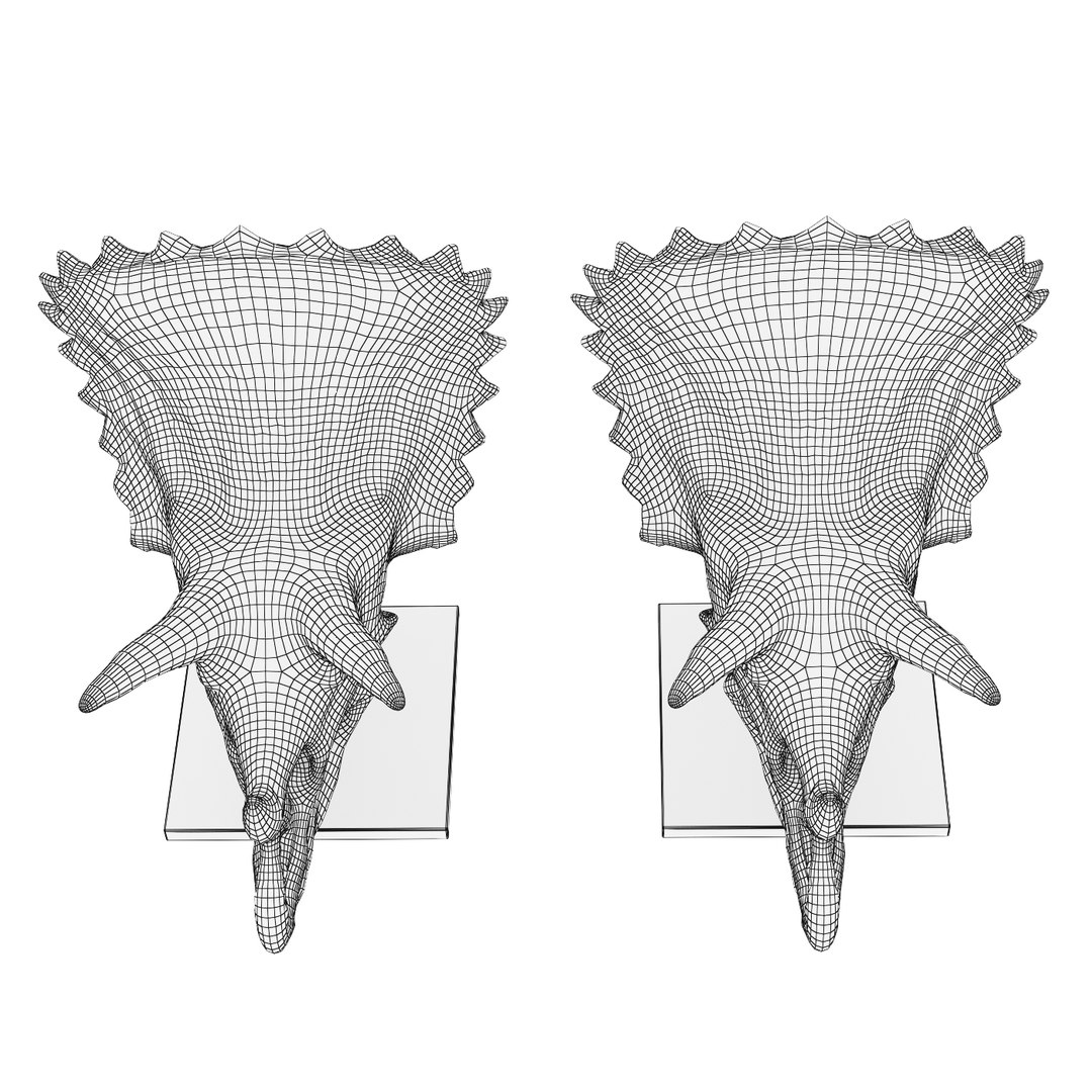 Triceratops Skull 3D Model - TurboSquid 1560762