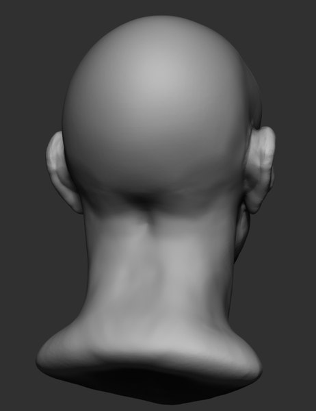 male head base anatomy obj