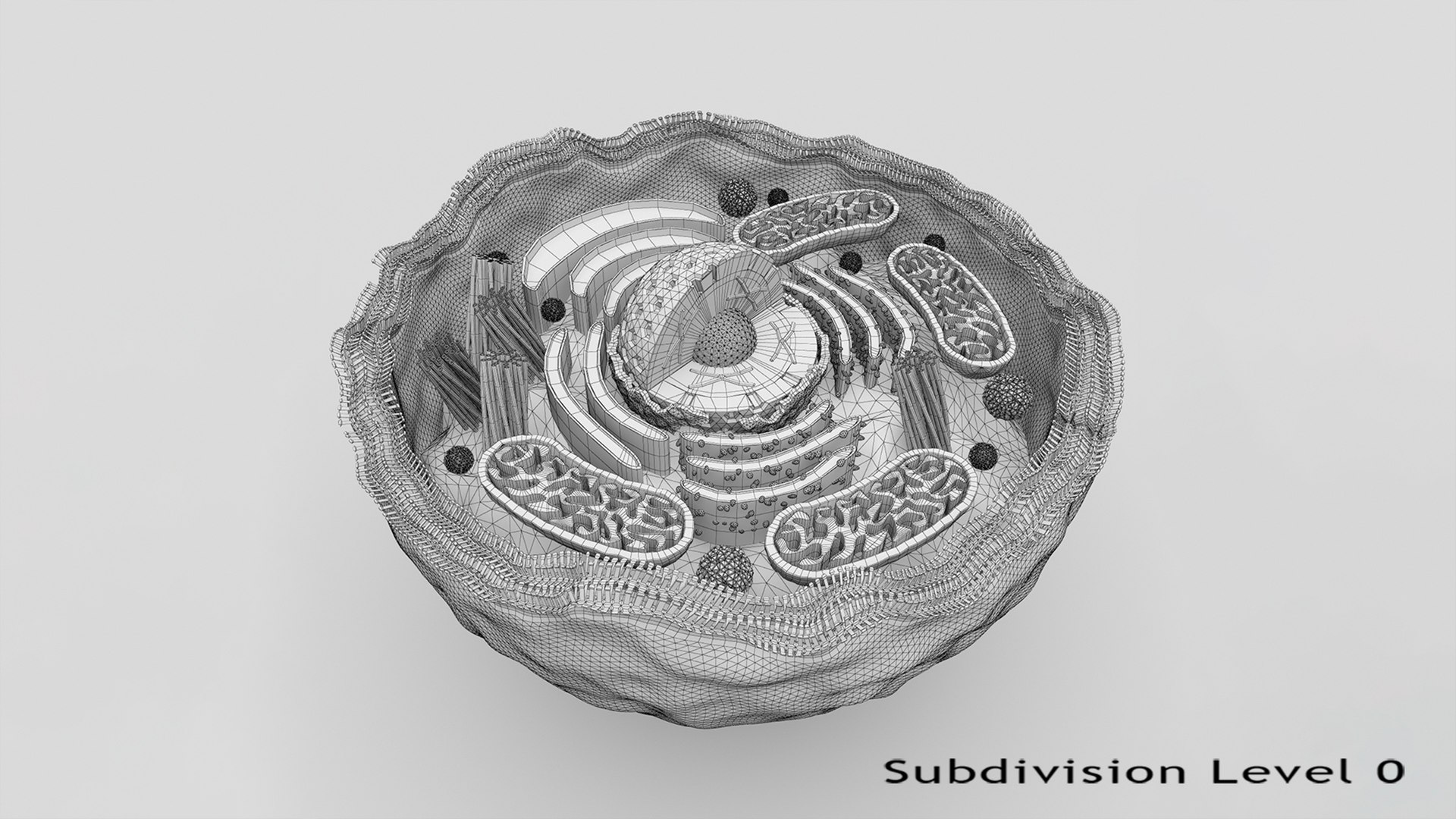 3d Human Cell