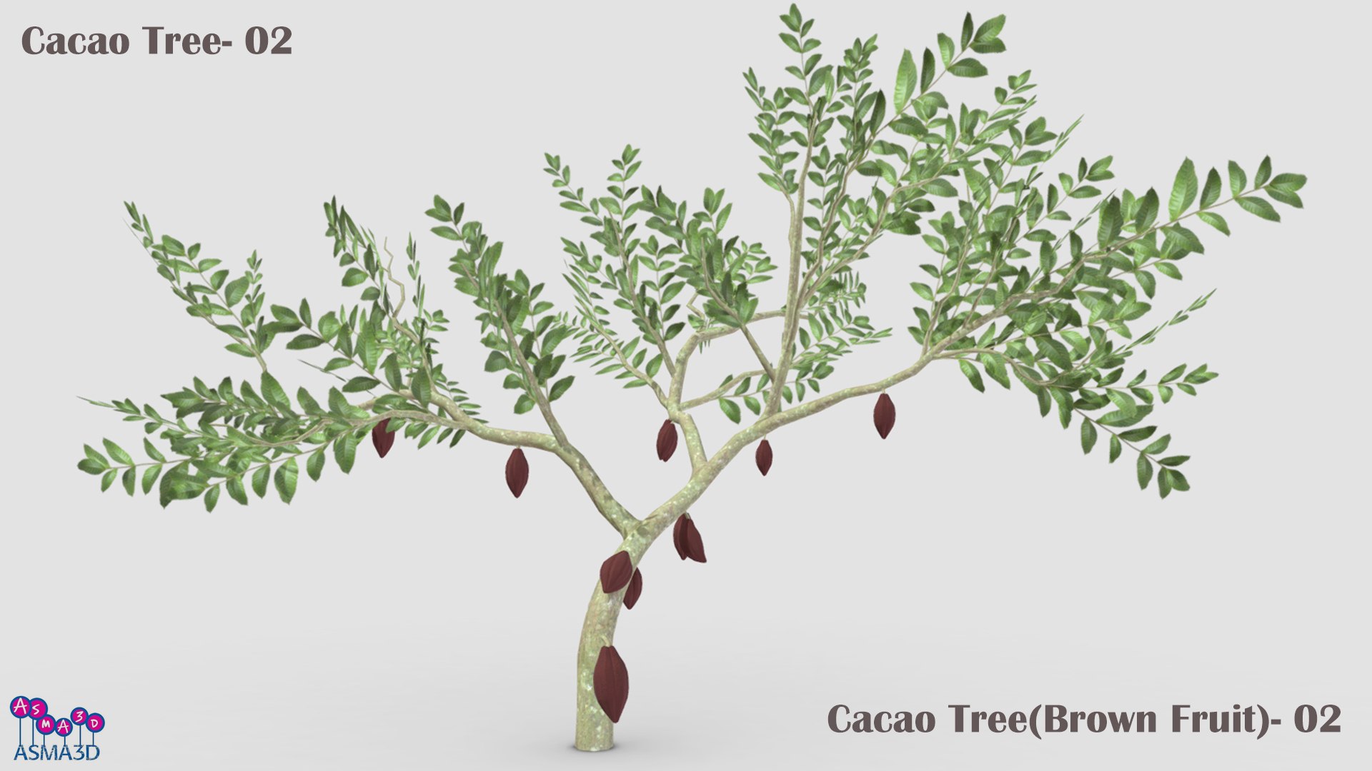 modelo 3d Árbol de cacao- 02 - TurboSquid 2202611