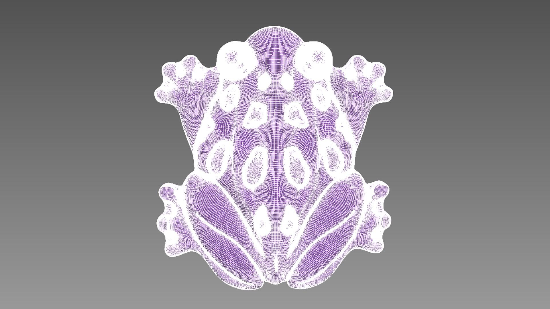 3D Frog Amphibian Model - TurboSquid 2139887