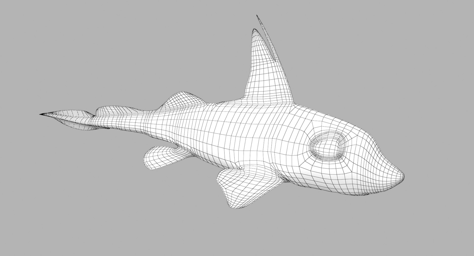 3D Spotted Ratfish Model - TurboSquid 1363521