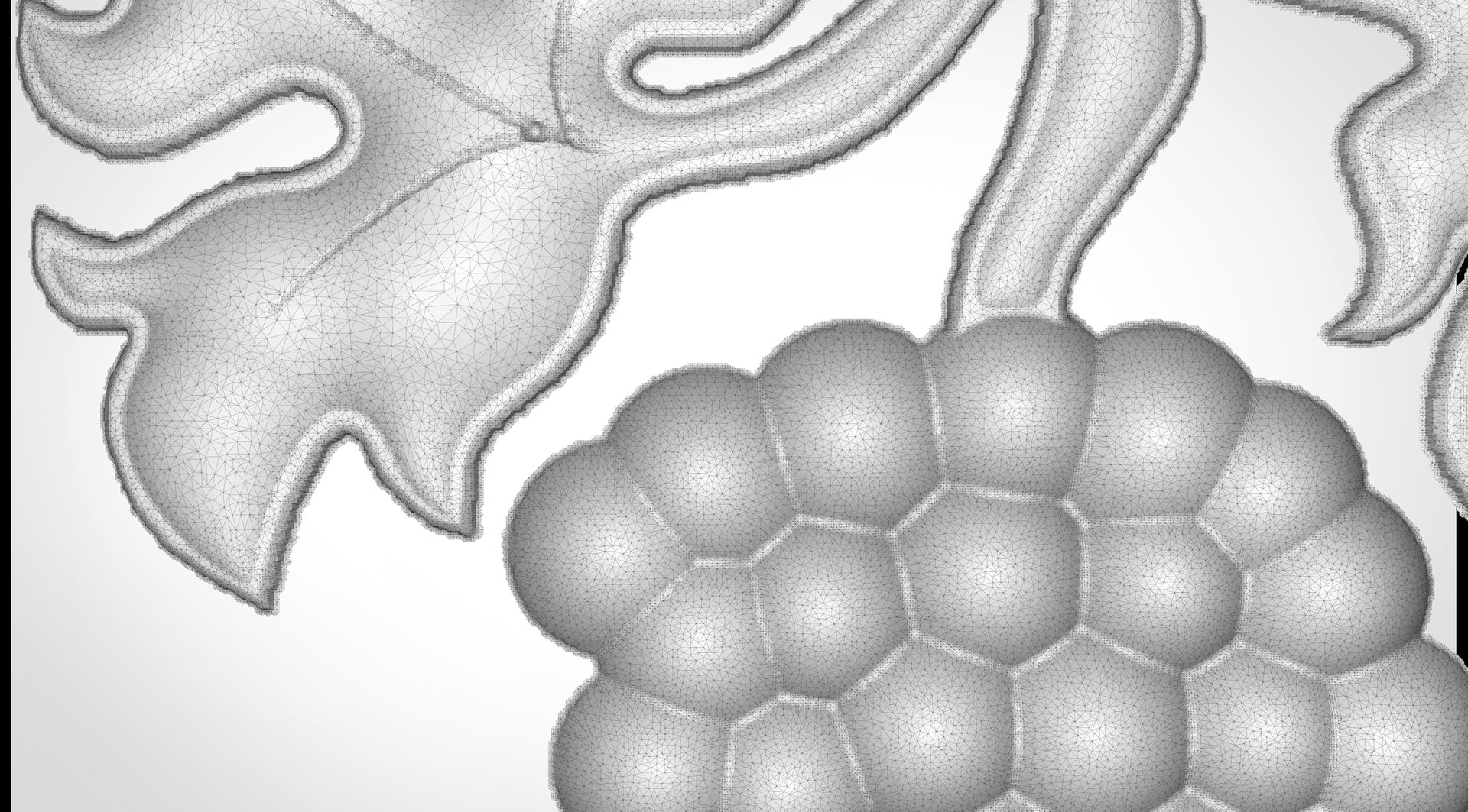 Grape Relief Model - TurboSquid 1486304