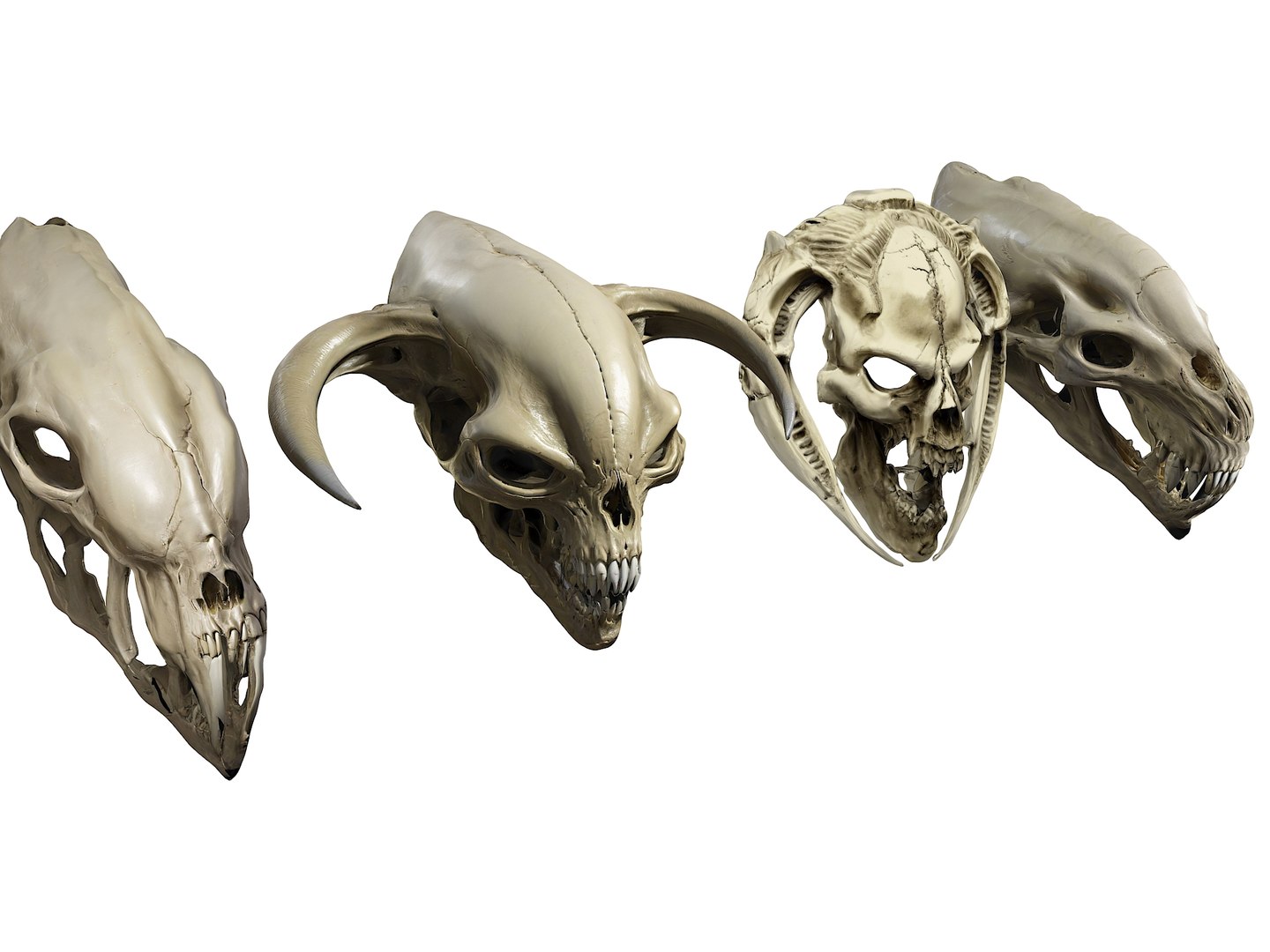 Prehistoric Predator Skulls 3D Model - TurboSquid 2298099