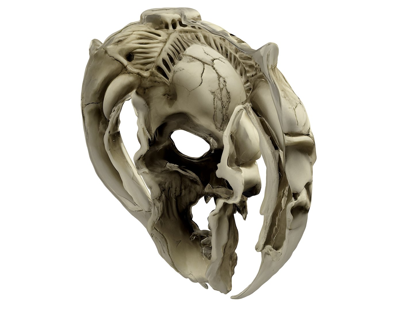 Prehistoric Predator Skulls 3D Model - TurboSquid 2298099