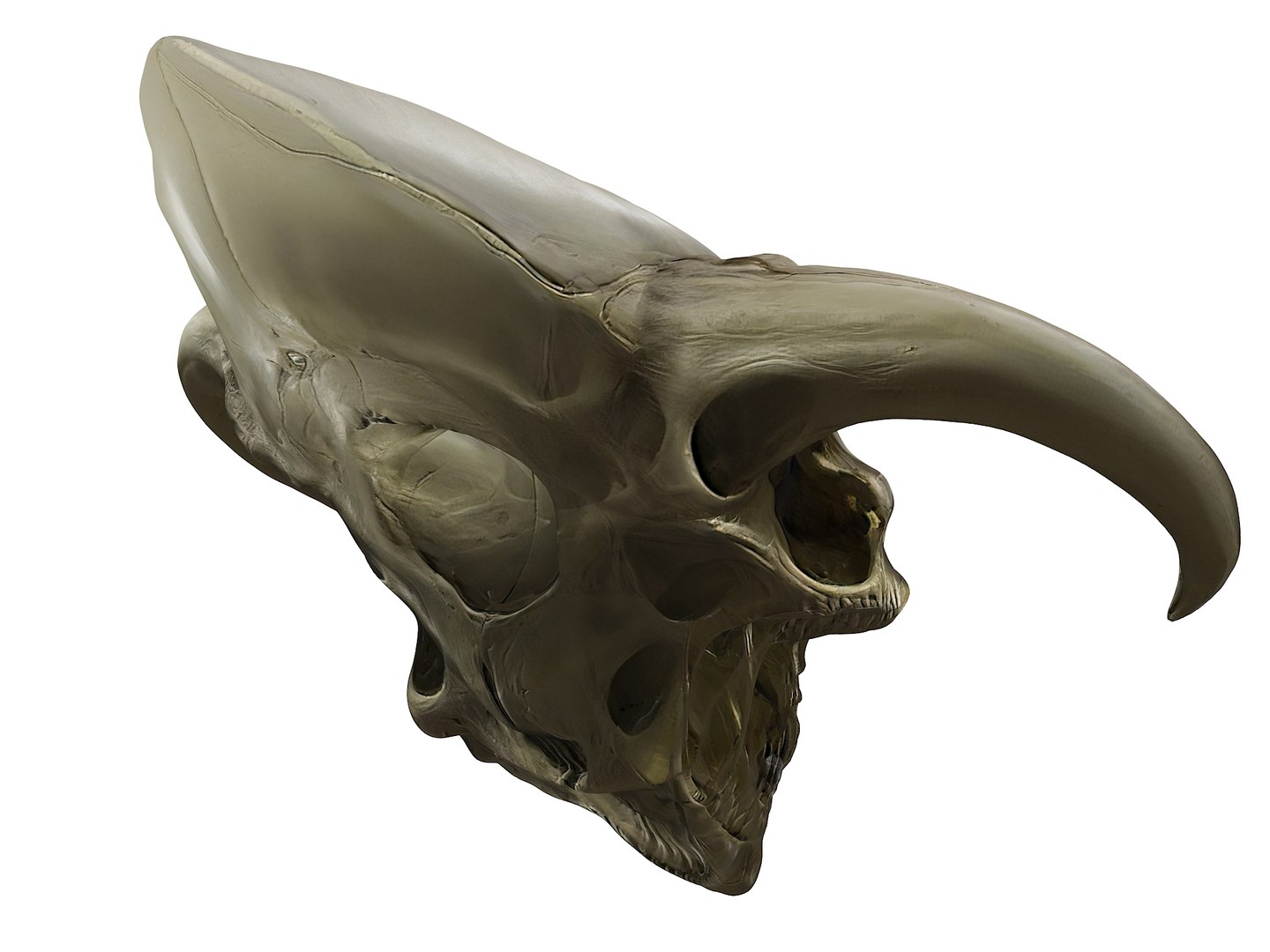 Prehistoric Predator Skulls 3D Model - TurboSquid 2298099