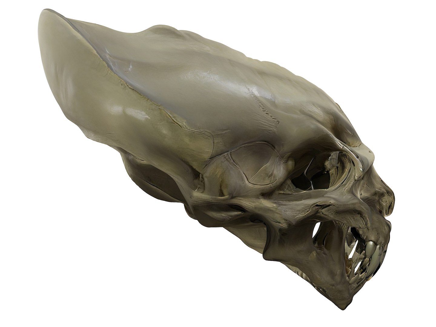 Prehistoric Predator Skulls 3D Model - TurboSquid 2298099