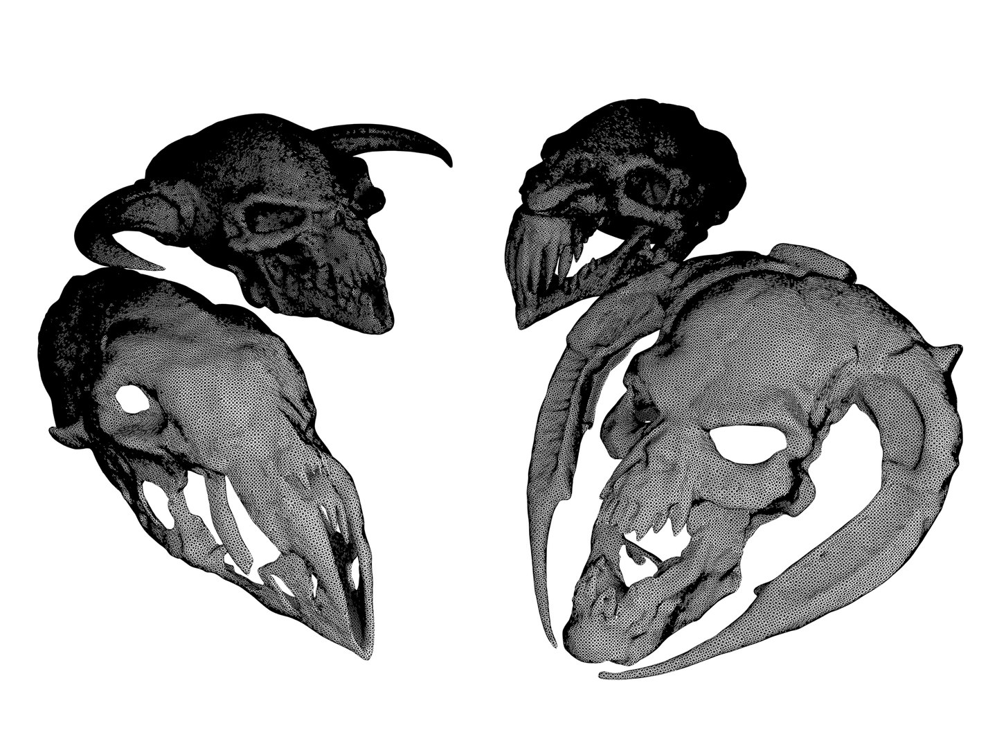Prehistoric Predator Skulls 3D Model - TurboSquid 2298099