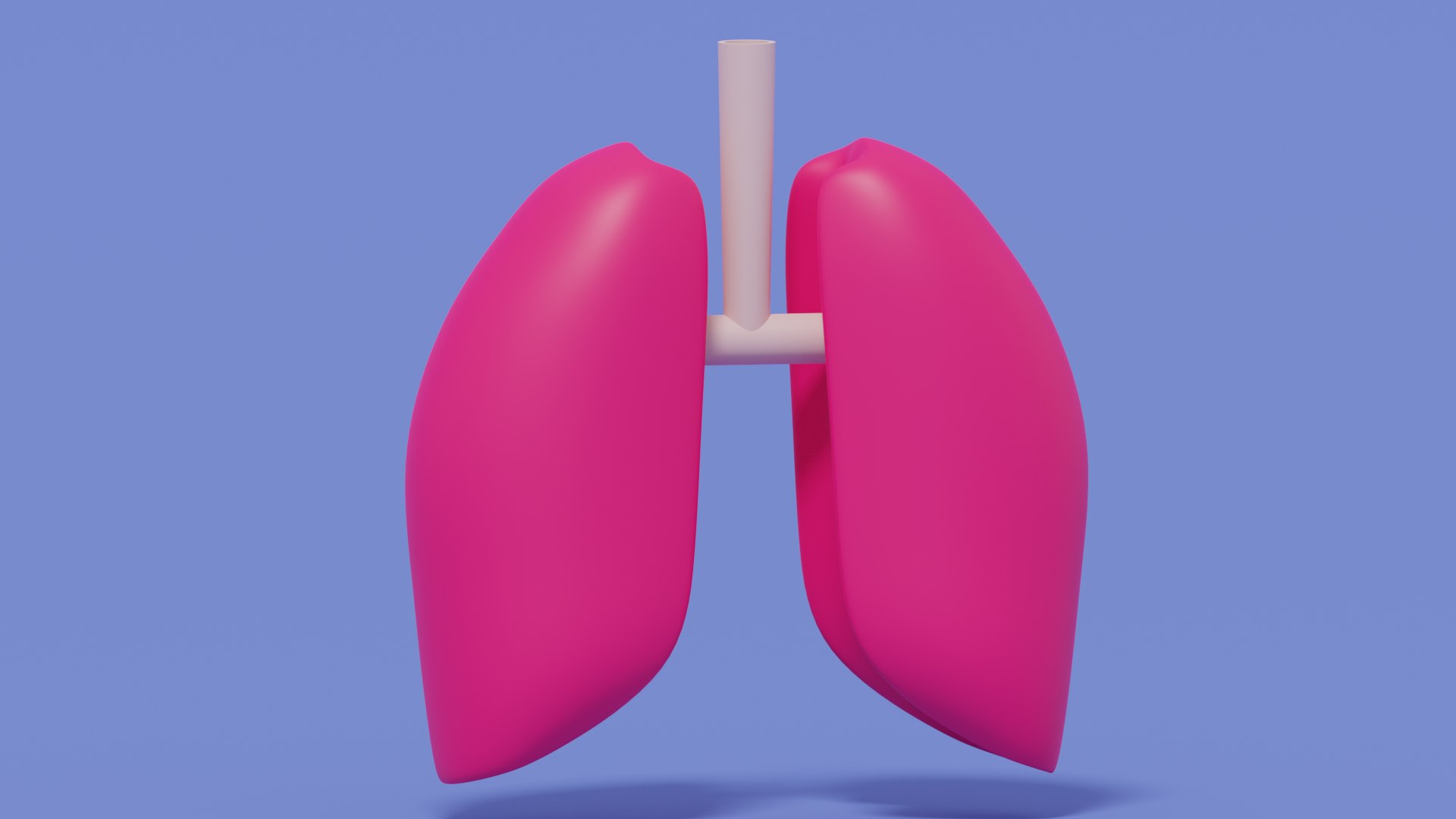 Cartoon Lungs Stylized 3D Model - TurboSquid 2514224