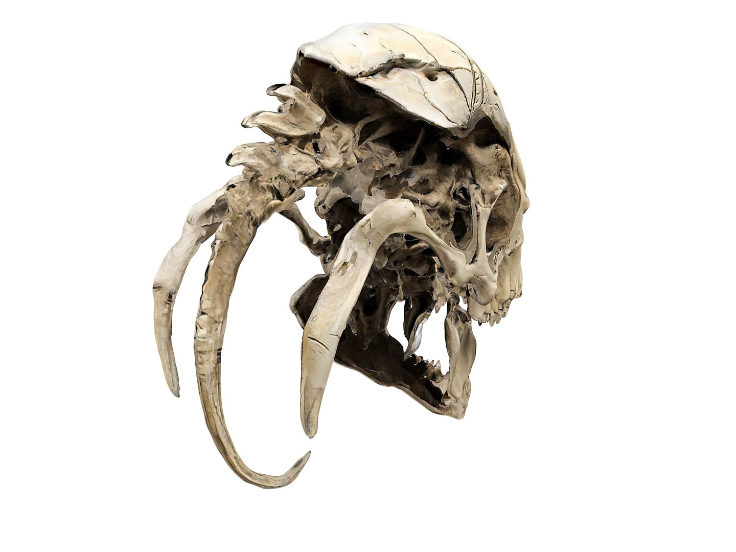 3D Predator Skull Pack - TurboSquid 2296986