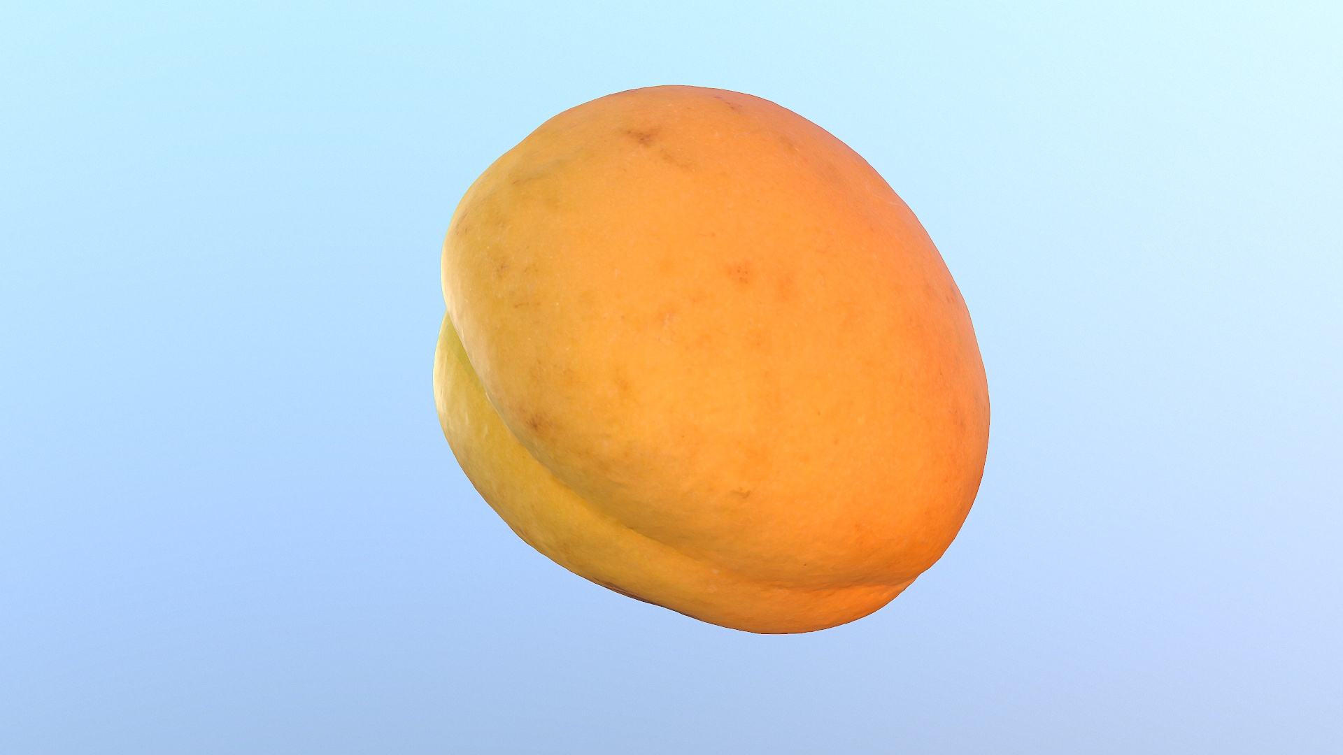 07 Hy Apricot Fruit 3D Model - TurboSquid 1661343