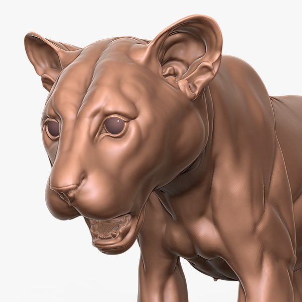 Leopard 3D Models for Download | TurboSquid