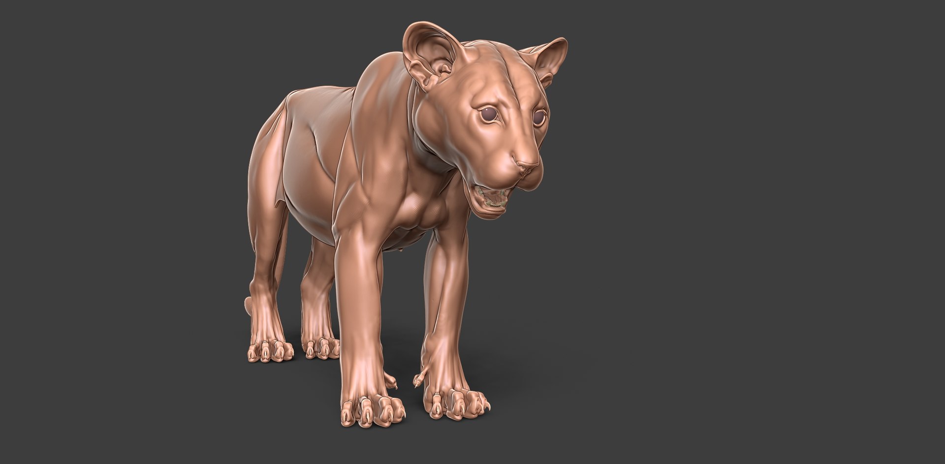 3D Leopard Cub Primary Forms Zbrush Sculpt model - TurboSquid 1820472
