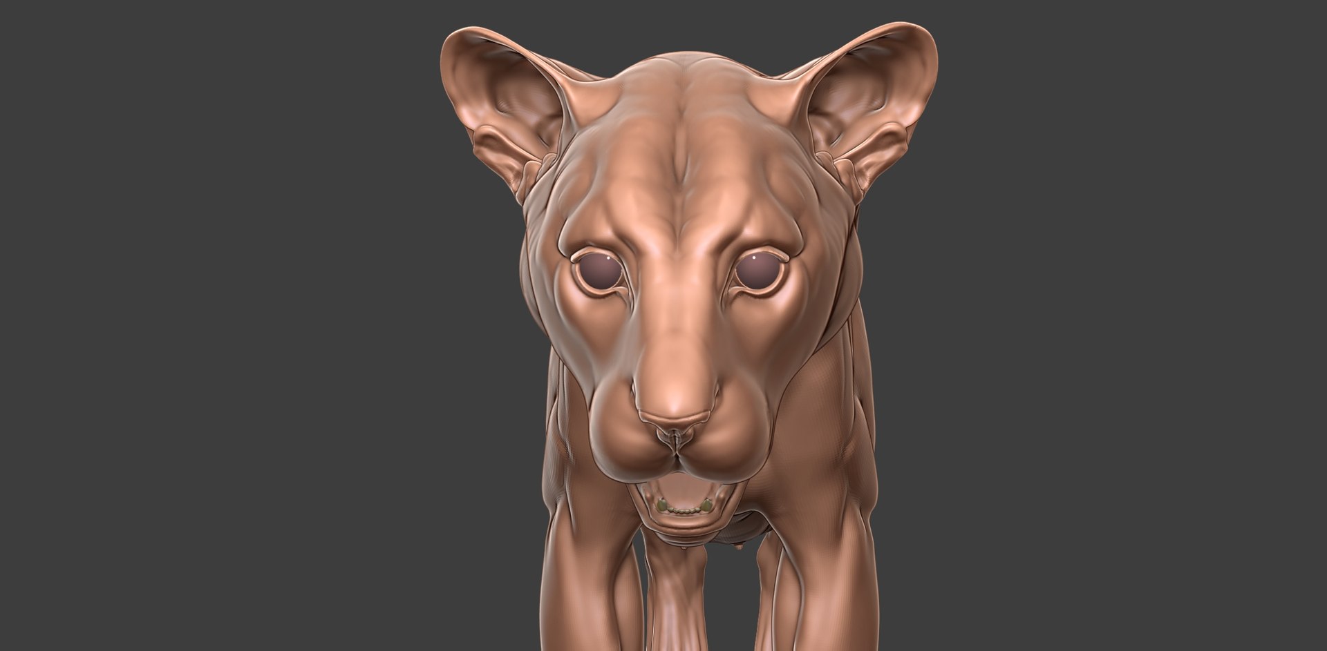 3D Leopard Cub Primary Forms Zbrush Sculpt model - TurboSquid 1820472